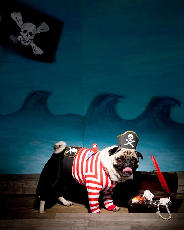 25 Fun DIY Pirate Costume Ideas for an Adventure-Ready Look