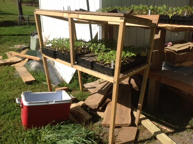 33 Ingenious DIY Rabbit Hutch Designs