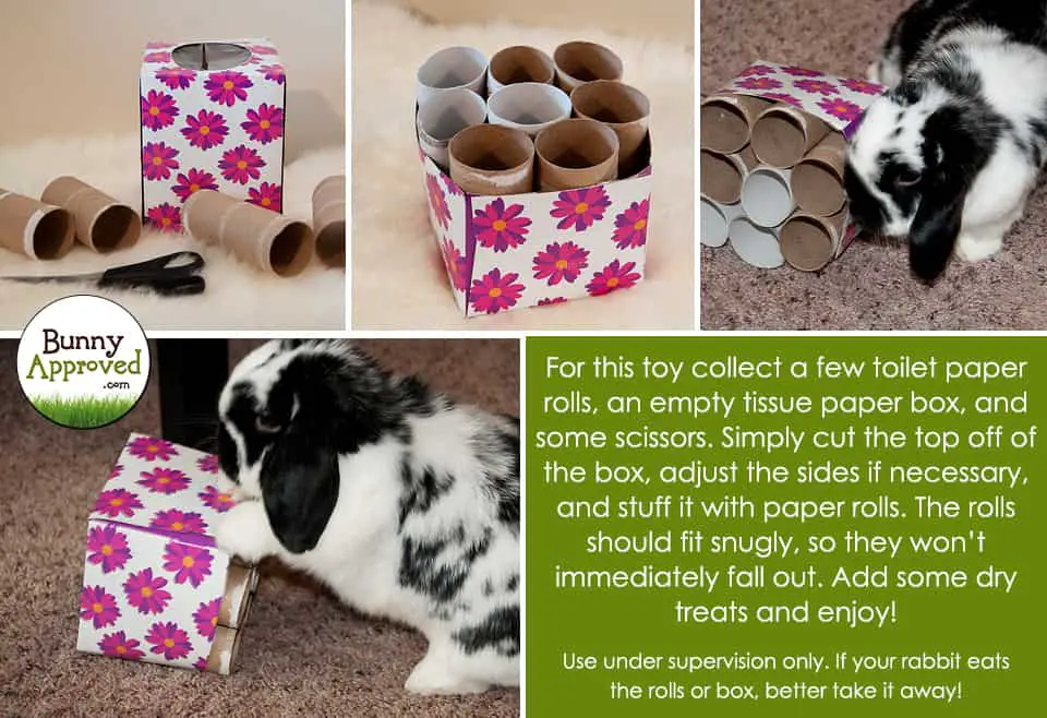 24 Creative DIY Bunny Toy Ideas for Your Pets