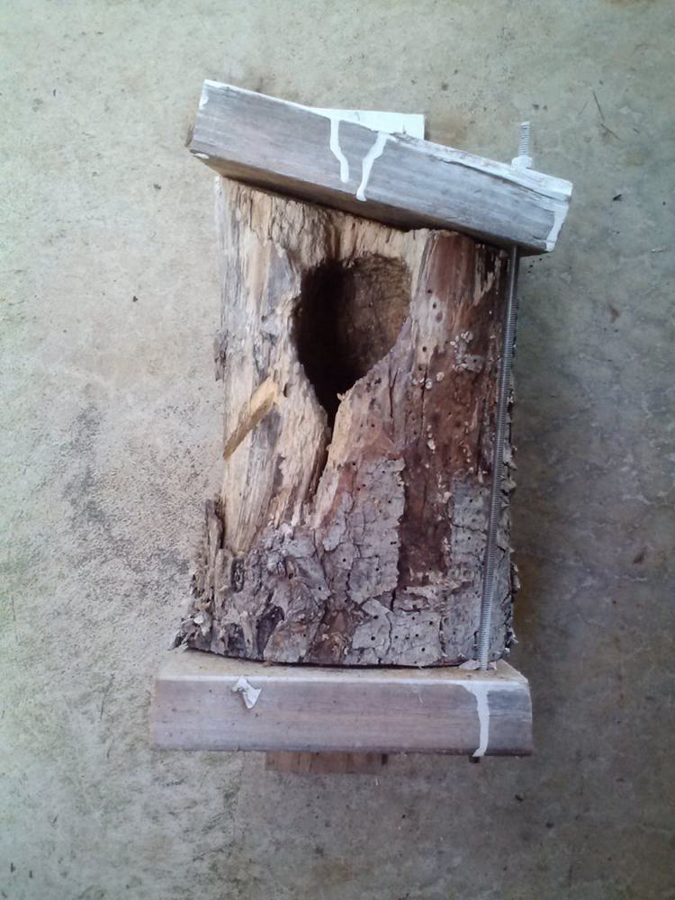 24 Amazing DIY Owl House Plans for Your Backyard Sanctuary