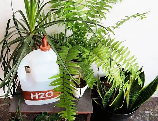 21 Creative DIY Watering Can Projects for Garden Enthusiasts
