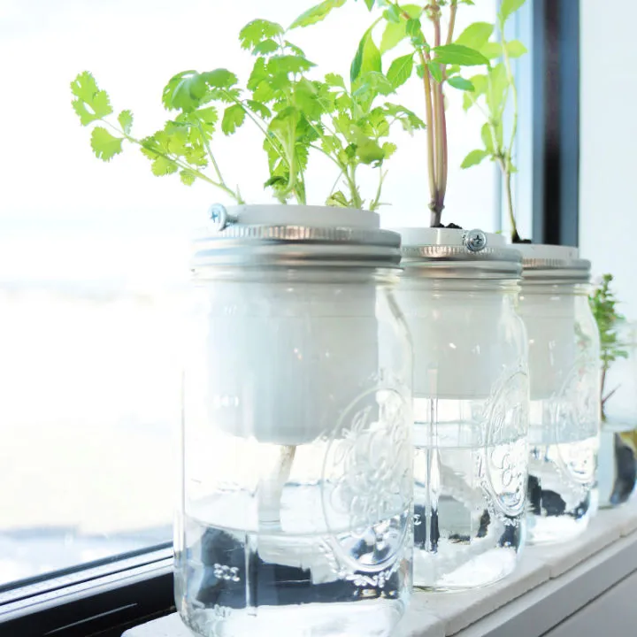22 DIY Self Watering Planter Ideas: A Guide to Easy and Efficient Plant Care