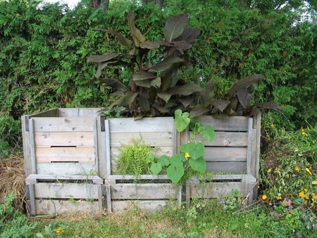 22 Effective DIY Compost Bin Ideas for Eco-Friendly Gardening