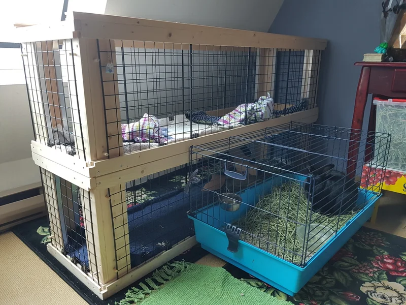 33 Ingenious DIY Rabbit Hutch Designs