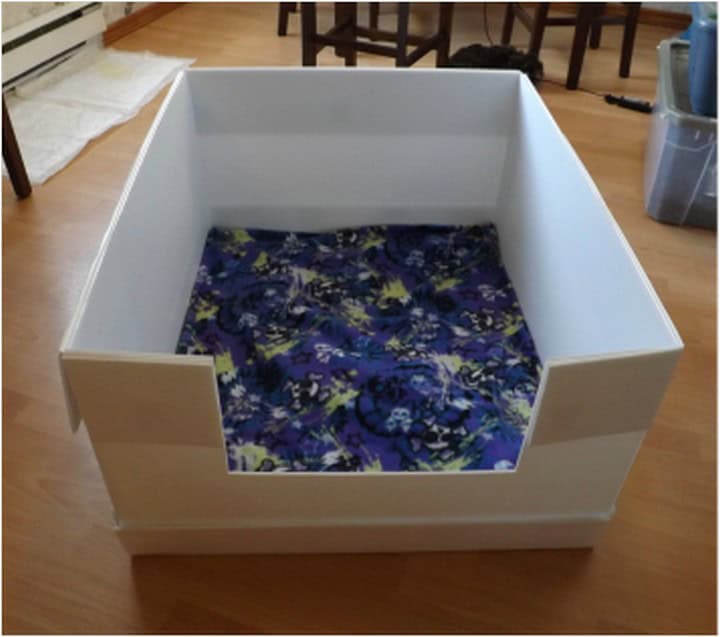 17 Affordable DIY Whelping Box Solutions for Pet Owners