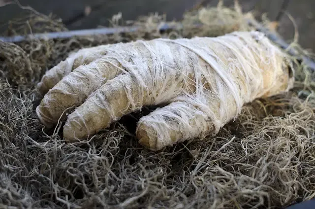 37 Creative DIY Halloween Props Ideas for an Eerie Atmosphere