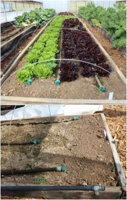 14 Efficient DIY Irrigation System Ideas for Your Garden