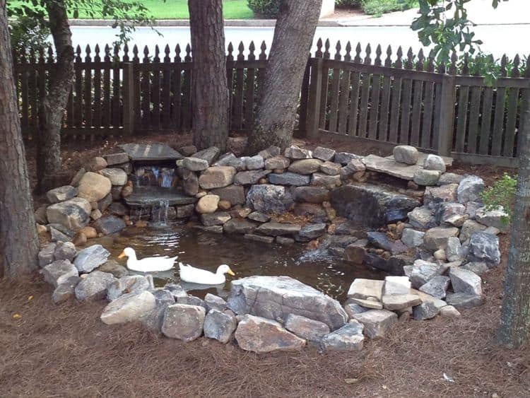 17 Charming DIY Duck Pond Ideas for Your Backyard