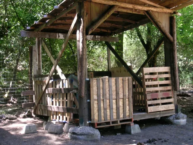 27 Practical DIY Goat Shelter Plans for Comfortable Housing
