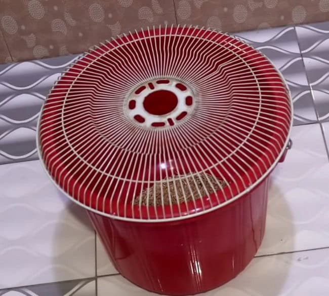 12 Effective DIY Mouse Trap Designs for Home Use