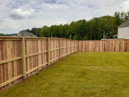 20 Top DIY Dog Run Designs for Happy Pups