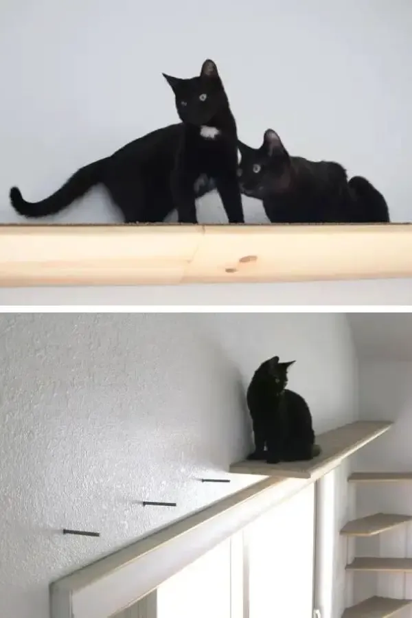 15 Fun DIY Cat Shelf Ideas for Your Feline Friends