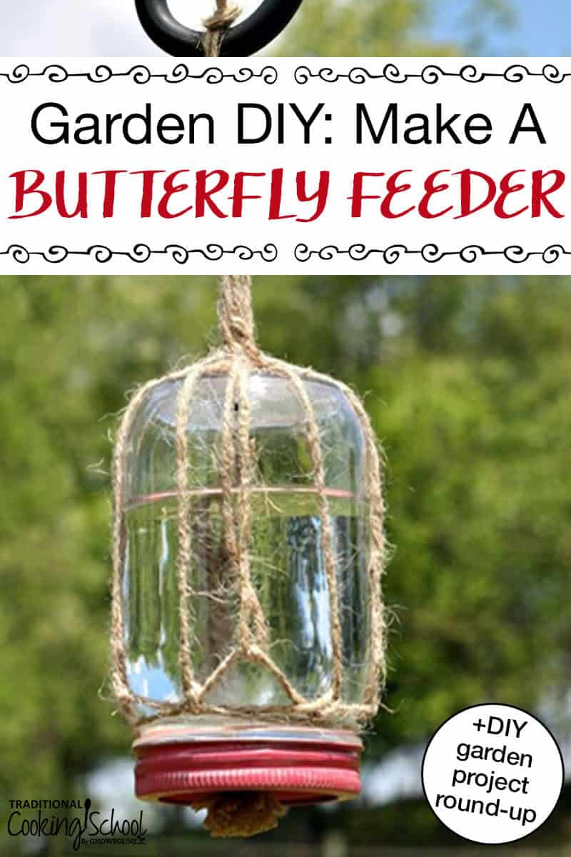25+ Creative DIY Butterfly Feeder Designs for Your Garden