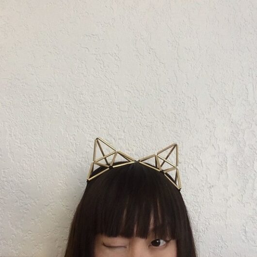 38 Cute DIY Cat Ears Headbands for Fun Parties