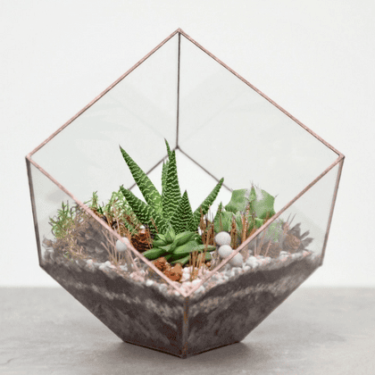 29 DIY Terrarium Ideas