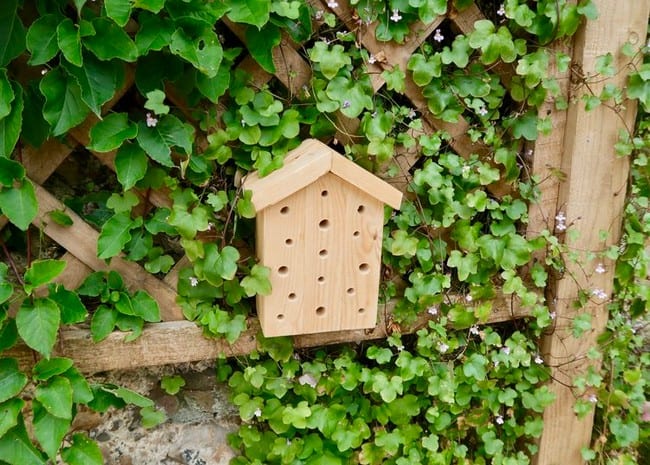 15 DIY Bee House Plans to Foster a Bee-Friendly Environment
