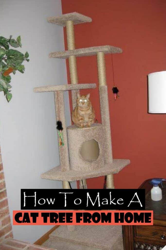 25 DIY Cat Tree Plans You Can Make Easily