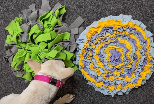 29 Best DIY Snuffle Mat Ideas for Engaging Pets