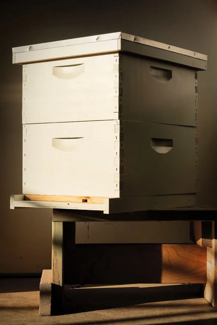 26 DIY Beehive Plans for Aspiring Beekeepers