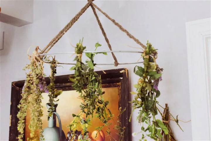 24 Practical DIY Herb Drying Rack Ideas for Fresh Herbs