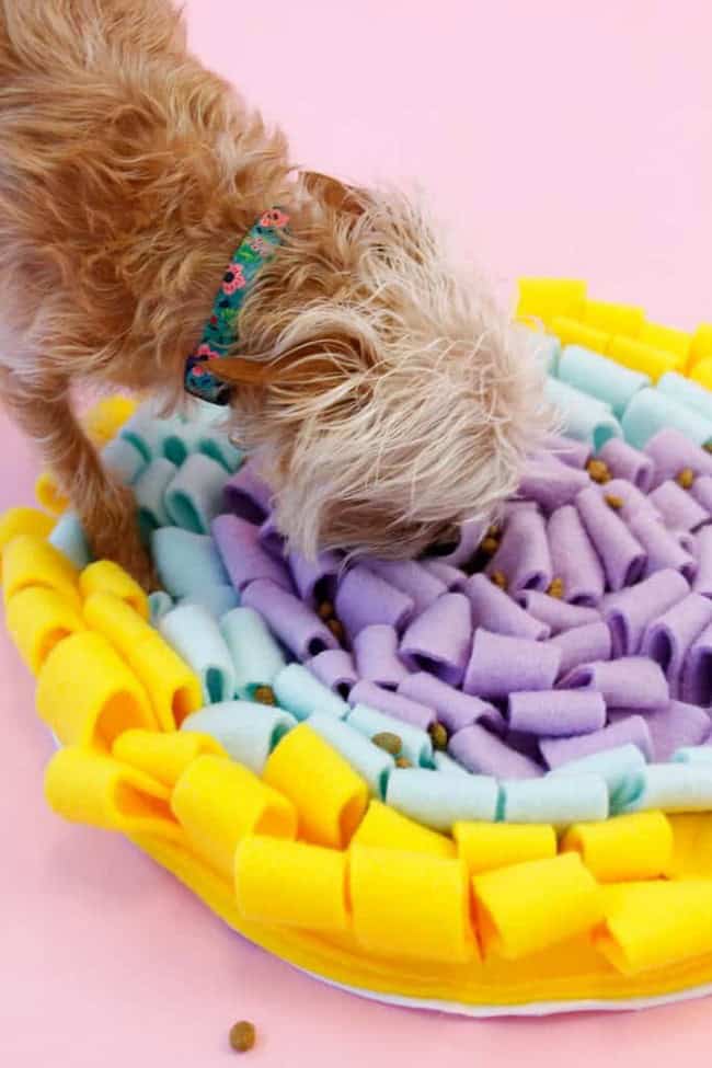 29 Best DIY Snuffle Mat Ideas for Engaging Pets