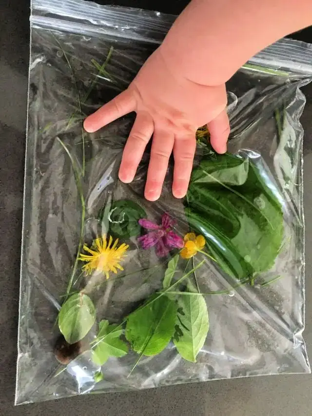 27 Simple DIY Sensory Bag Concepts for Learning and Exploration