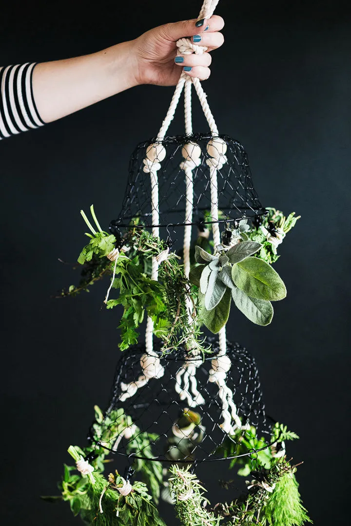 24 Practical DIY Herb Drying Rack Ideas for Fresh Herbs