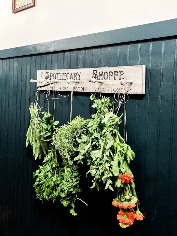 24 Practical DIY Herb Drying Rack Ideas for Fresh Herbs