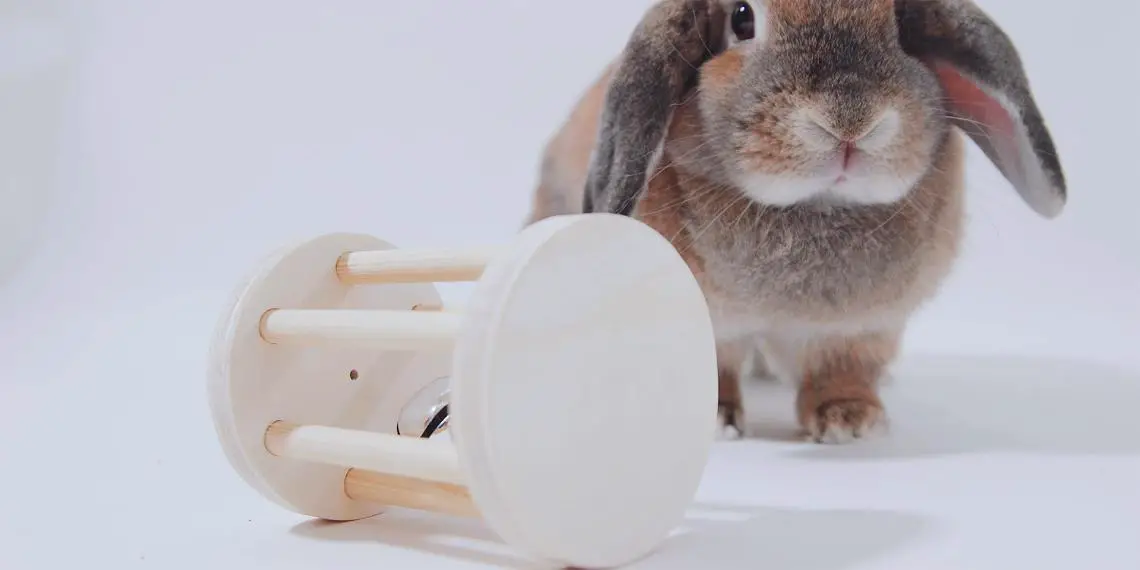 24 Creative DIY Bunny Toy Ideas for Your Pets