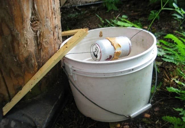 12 DIY Mouse Trap Ideas