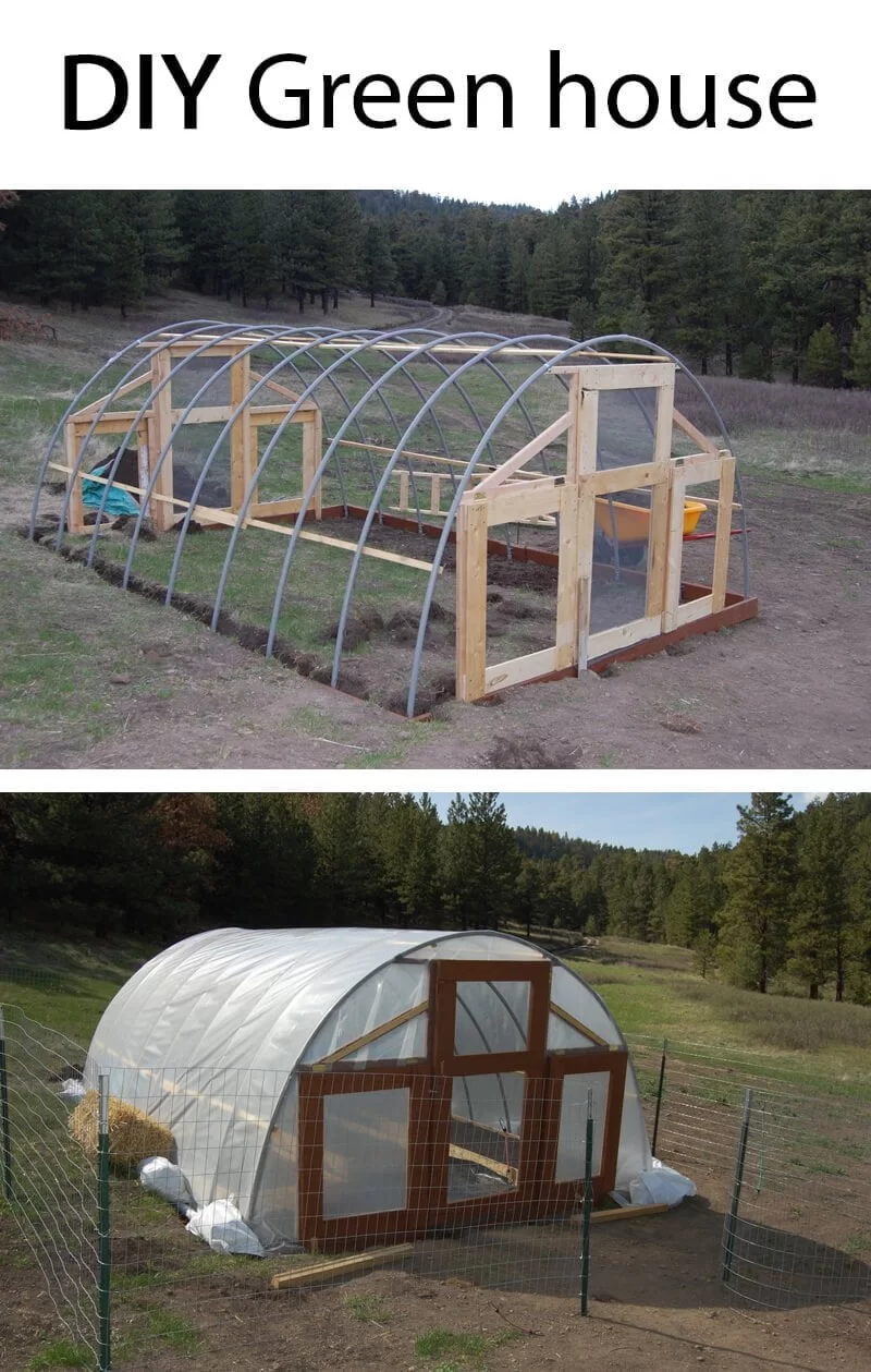22 Creative DIY Greenhouse Designs for Home Growers