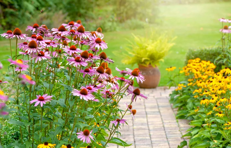 24 Charming DIY Flower Bed Ideas for Beautiful Gardens