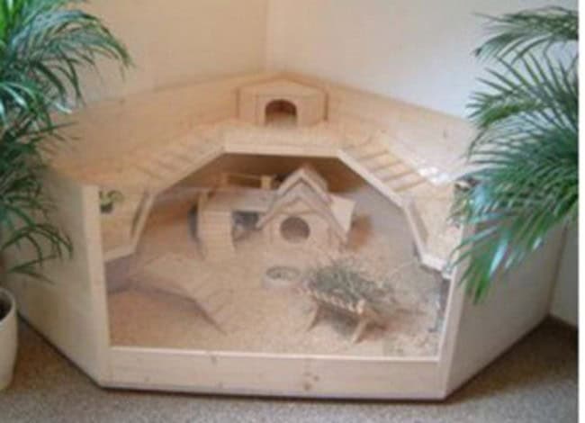35 Creative DIY Guinea Pig Cage Ideas for Happy Pets