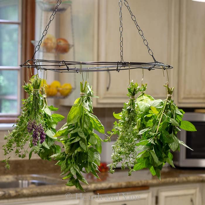 24 Practical DIY Herb Drying Rack Ideas for Fresh Herbs