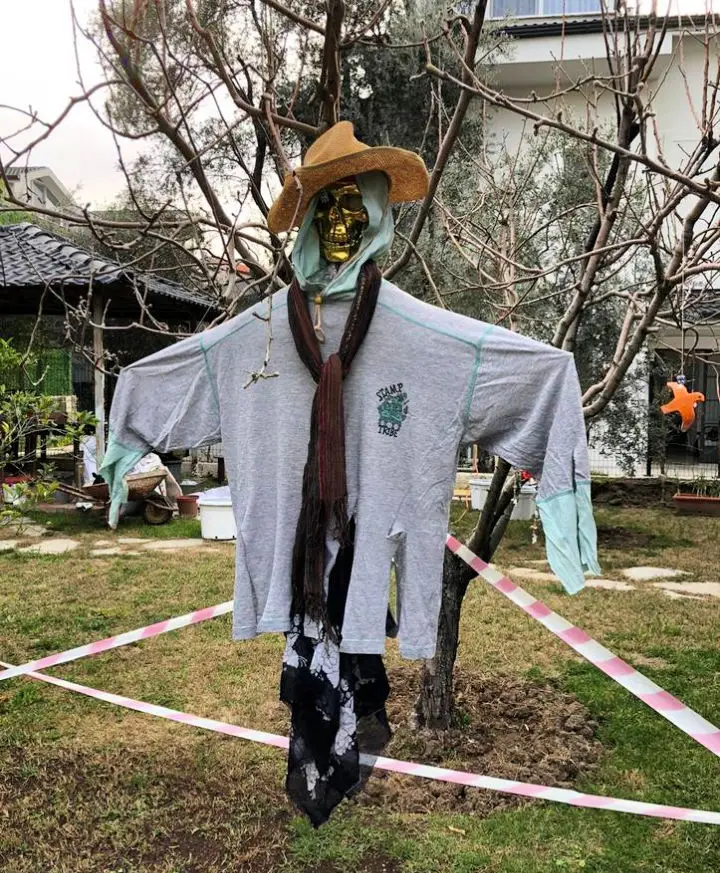 25 Creative DIY Scarecrow Designs to Liven Up Your Yard