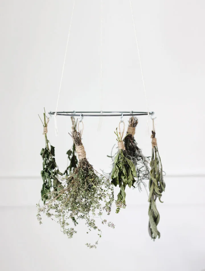 24 Practical DIY Herb Drying Rack Ideas for Fresh Herbs