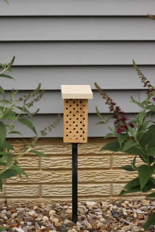 15 DIY Bee House Plans to Foster a Bee-Friendly Environment