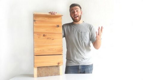 18 Free DIY Bat House Designs You Can Build