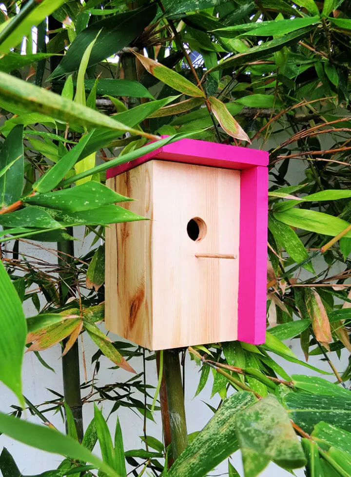 29 Creative DIY Birdhouse Ideas for Your Garden