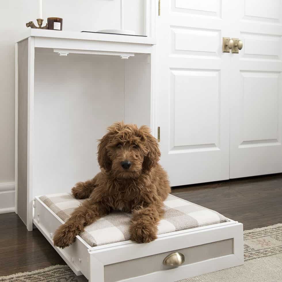 18 Cozy DIY Dog Bed Ideas & Plans for Your Furry Friend