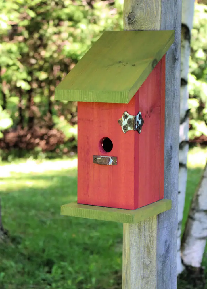 29 Creative DIY Birdhouse Ideas for Your Garden