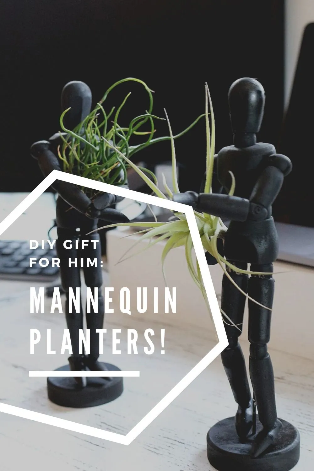 33 Creative DIY Air Plant Holder Ideas for Unique Décor