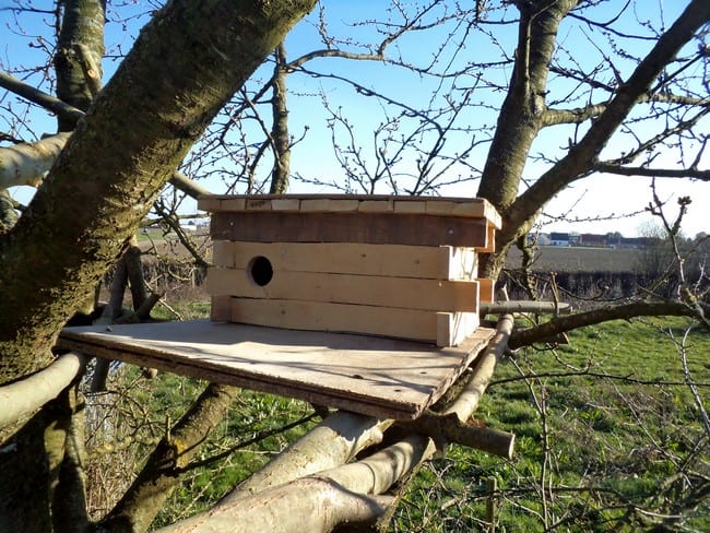 24 Amazing DIY Owl House Plans for Your Backyard Sanctuary