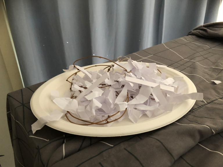 20 DIY Bird Toy Ideas