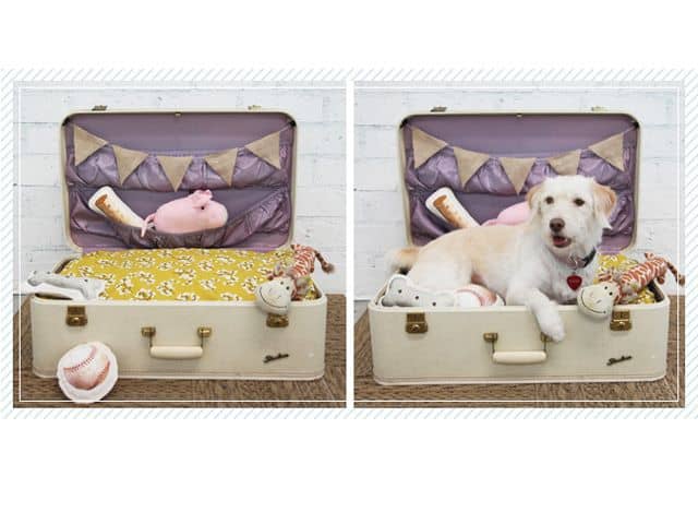 18 Cozy DIY Dog Bed Ideas & Plans for Your Furry Friend