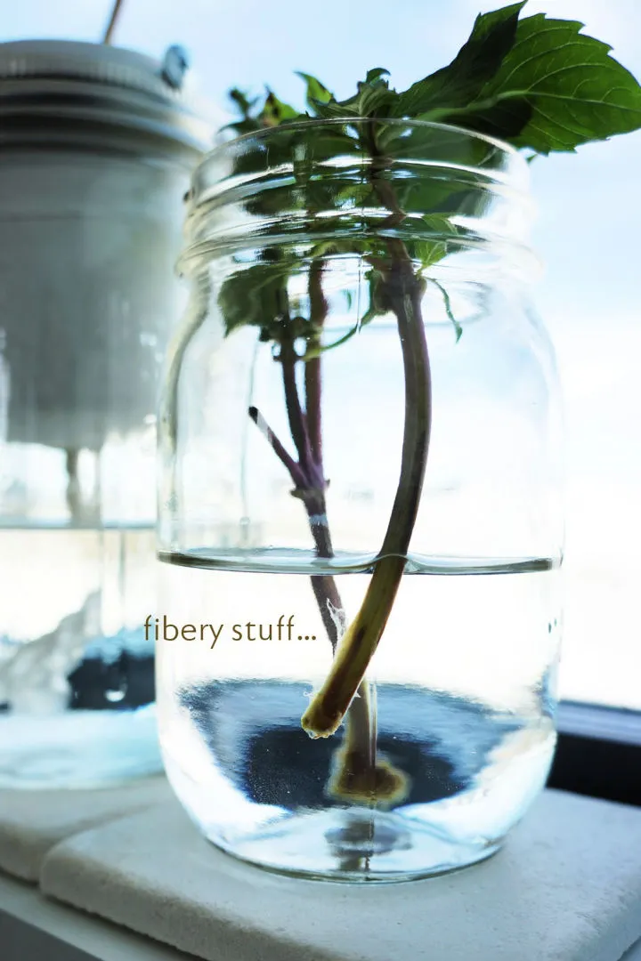 22 DIY Self Watering Planter Ideas: A Guide to Easy and Efficient Plant Care