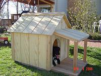33 Creative DIY Dog House Designs You Can Build for Free
