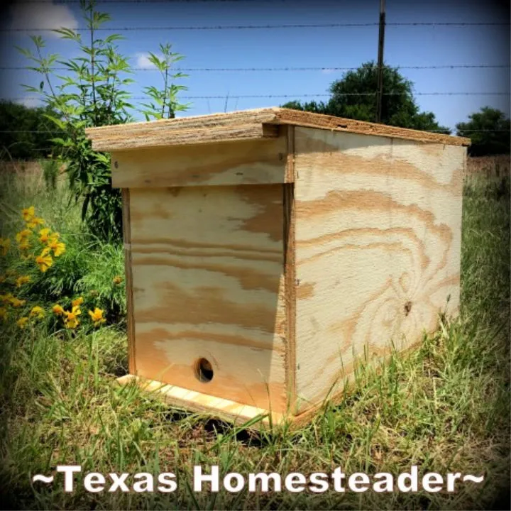 26 DIY Beehive Plans for Aspiring Beekeepers