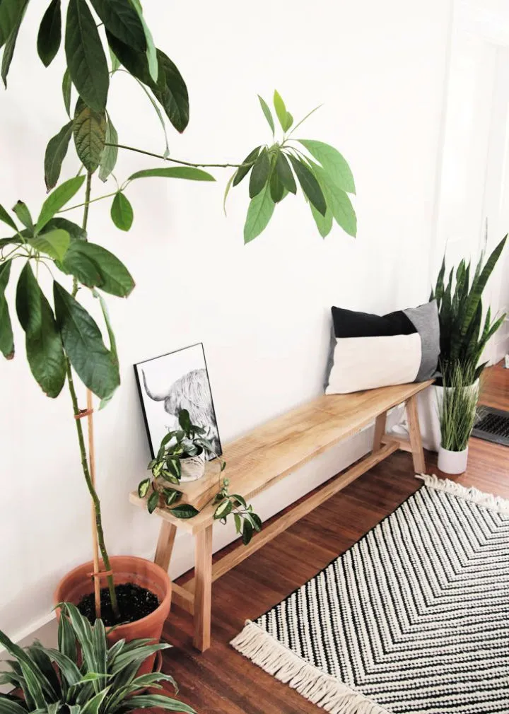 23 DIY Bench Plans for Indoor and Outdoor Comfort