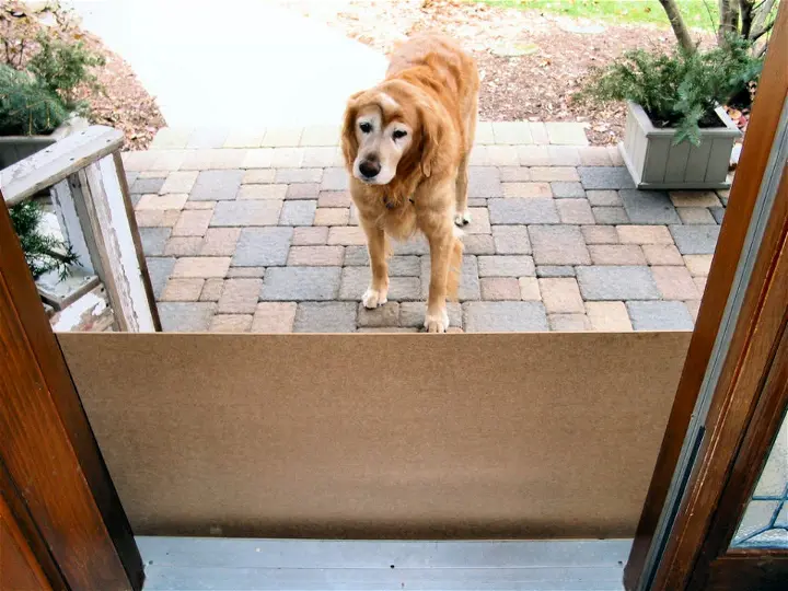 23 DIY Dog Gate Designs for Stylish Pet Barriers